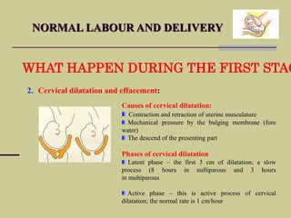 Normal Delivery Process