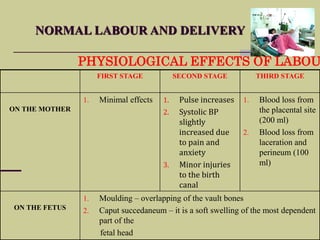 Stages Of Vaginal Delivery