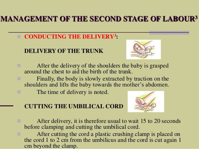 Ppt Ch 13 Conduct Of Normal Labor And Delivery