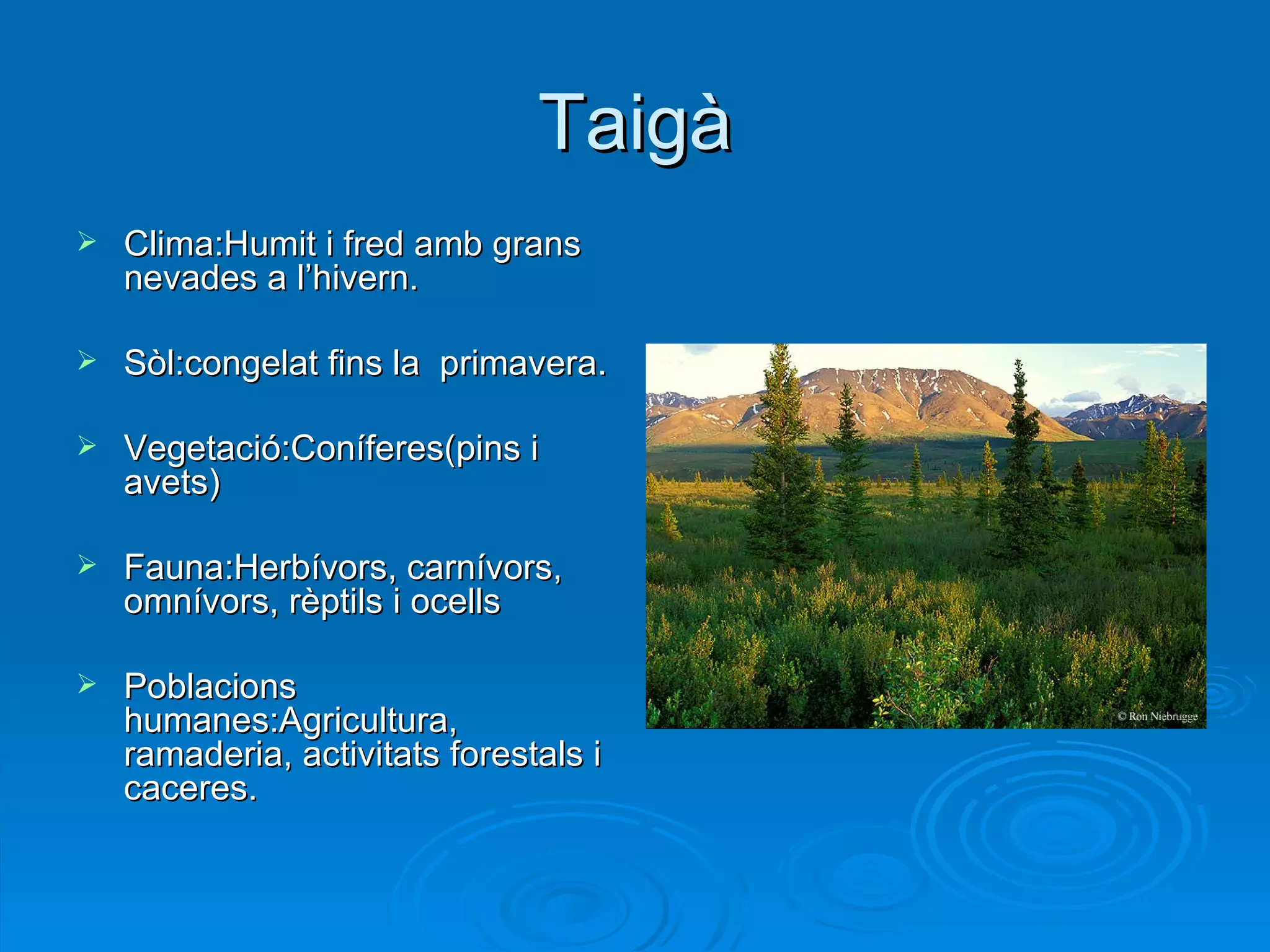 7BIOMES TERRESTRES | PPT