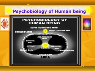 7 ray meditation eng... | PPT