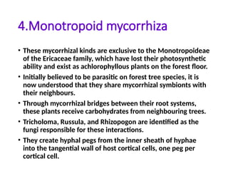 Share_Introduction and types of Mycorrhiza .pptx