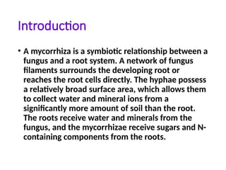 Share_Introduction and types of Mycorrhiza .pptx