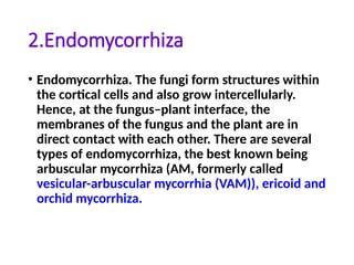 Share_Introduction and types of Mycorrhiza .pptx