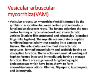 Share_Introduction and types of Mycorrhiza .pptx