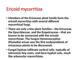 Share_Introduction and types of Mycorrhiza .pptx