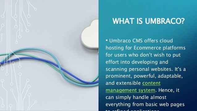 7 Reasons Why Umbraco CMS is the Best for Small Business | PPTX