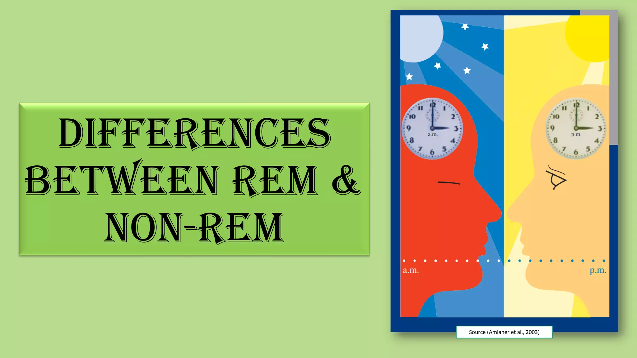 Differences between REM & NON-REM Sleep.pdf