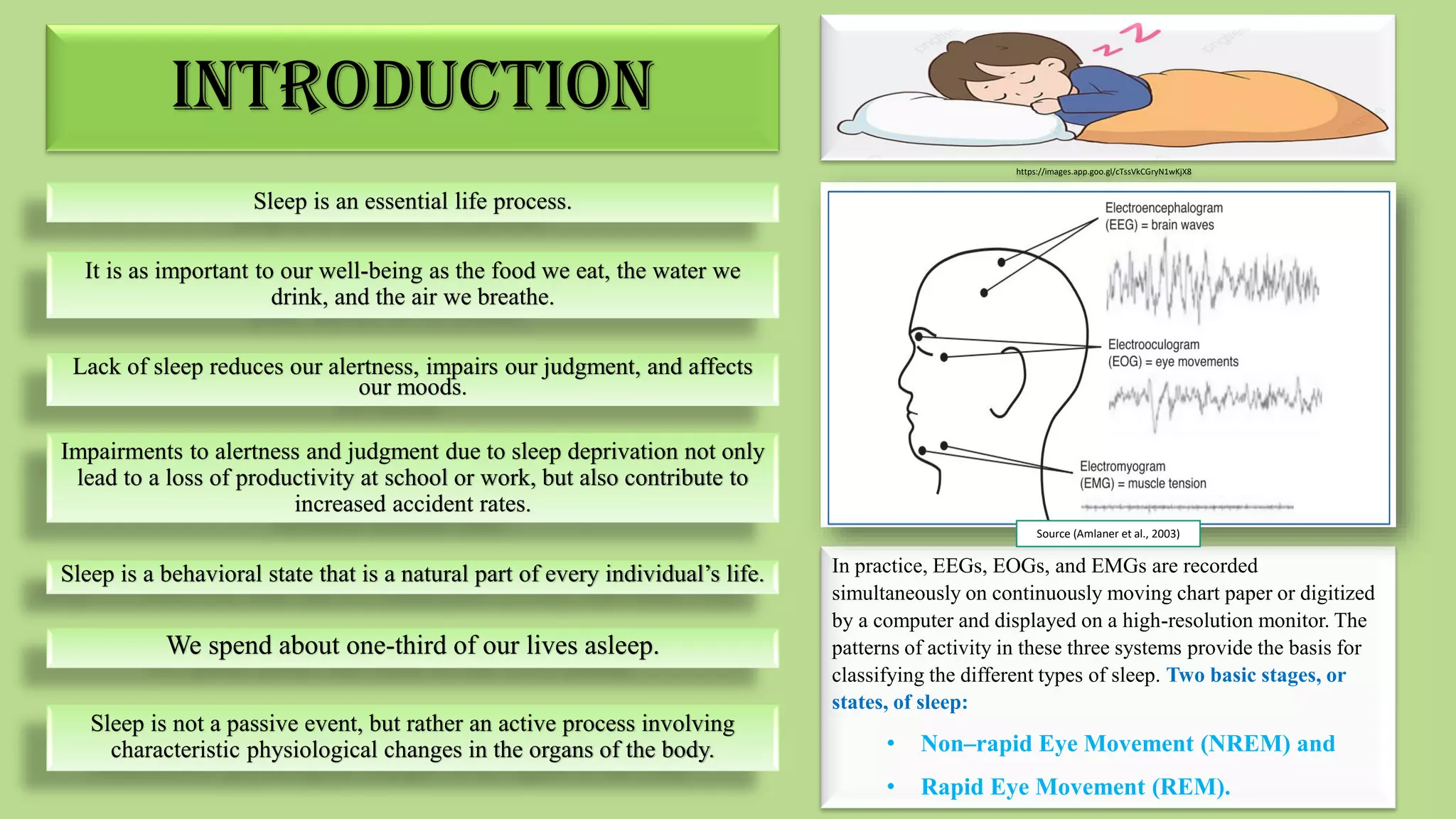 Differences between REM & NON-REM Sleep.pdf