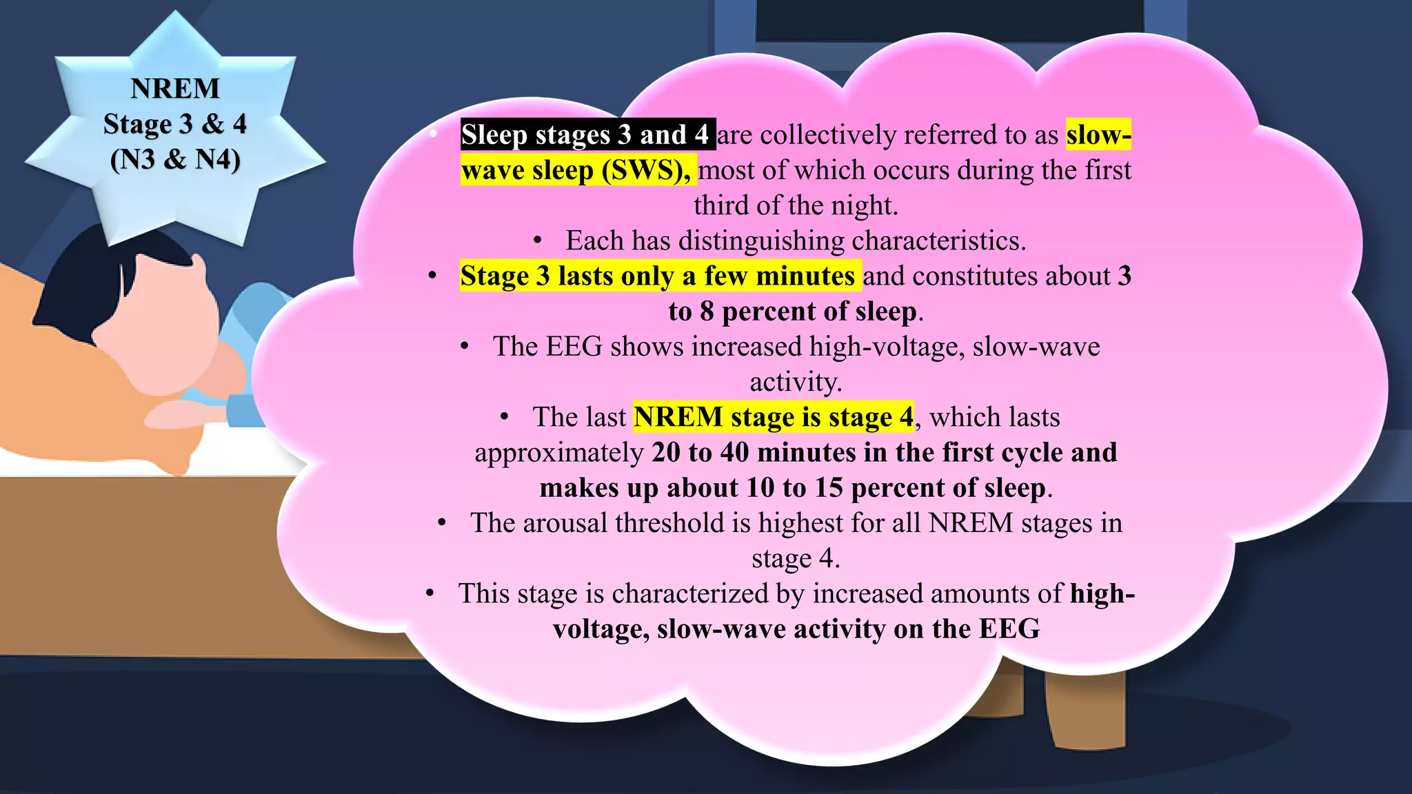 Differences between REM & NON-REM Sleep.pdf | Sleep Disorders ...