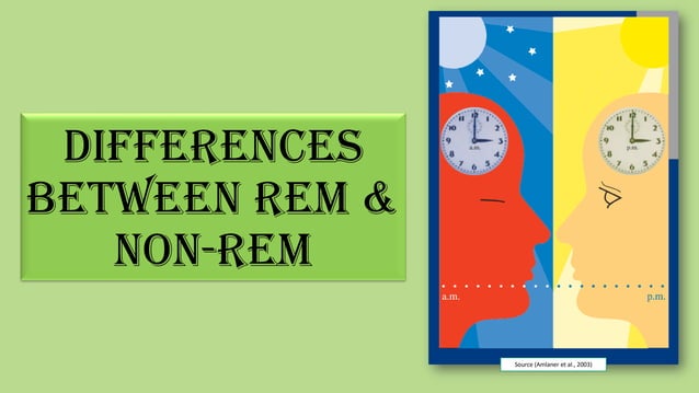 Differences between REM & NON-REM Sleep.pdf | Sleep Disorders ...