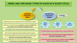 Differences between REM & NON-REM Sleep.pdf