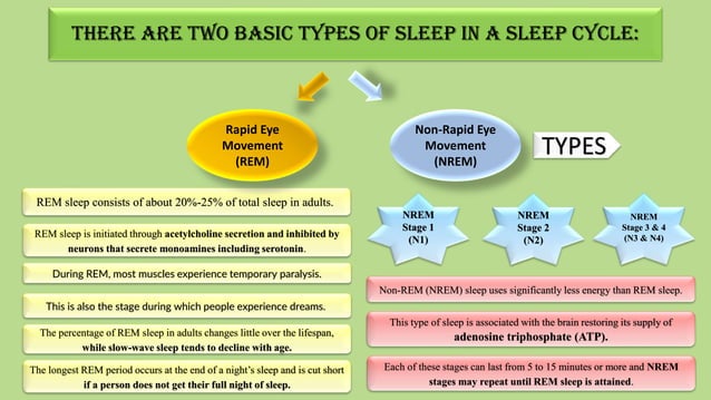Differences between REM & NON-REM Sleep.pdf