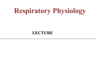respiratory system Physiology | PPT