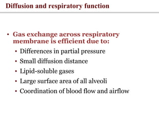 respiratory system Physiology | PPT