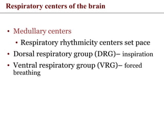 respiratory system Physiology | PPT
