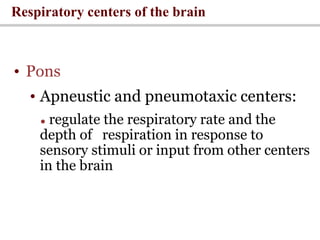 respiratory system Physiology | PPT
