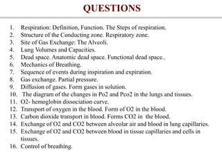 respiratory system Physiology | PPT