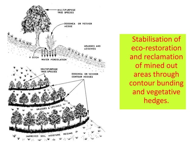 7. MINING LEASE, RECLAMATION PLANNING AND SAFETY ZONE MANAGEMENT PLAN ...