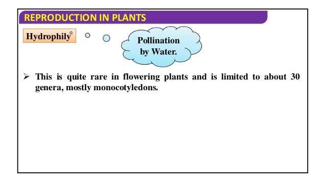 Sexual reproduction biology | PPT