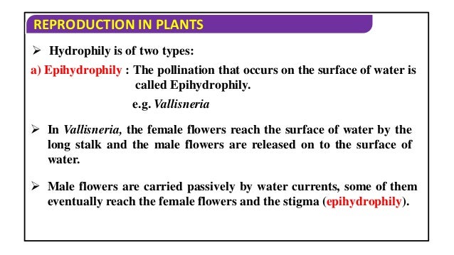 Sexual reproduction biology | PPT