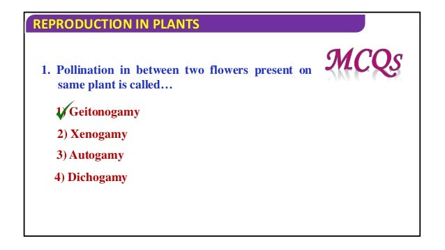 Sexual reproduction biology | PPT
