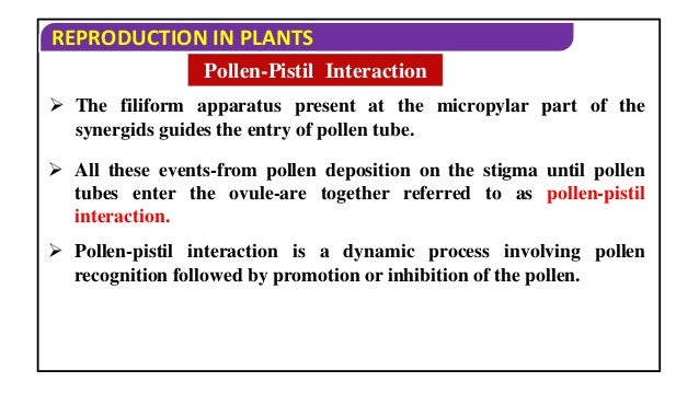 Sexual reproduction biology | PPT