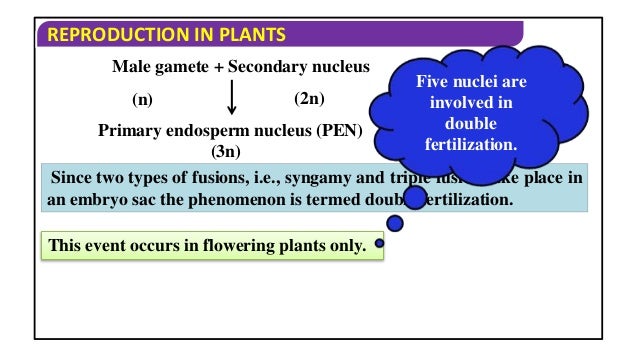Sexual reproduction biology | PPT