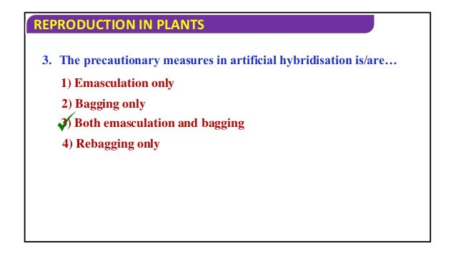 Sexual reproduction biology | PPT