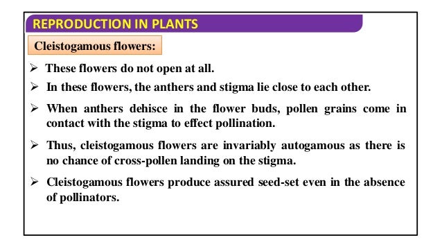 Sexual reproduction biology | PPT