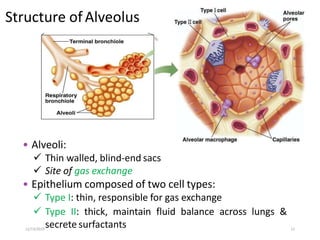 biochemistry of respiratory system | PPTX