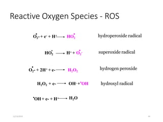 biochemistry of respiratory system | PPTX