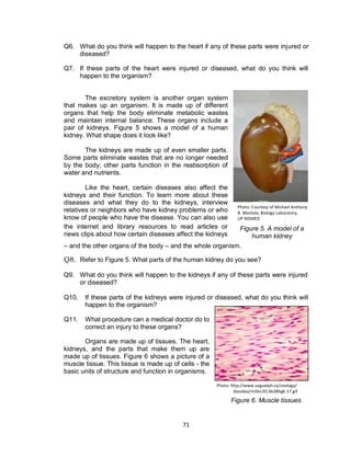 Grade 7 Learning Module in Science (Quarter 1 to 4) | PDF