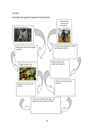 Grade 7 Learning Module in Science (Quarter 1 to 4) | PDF