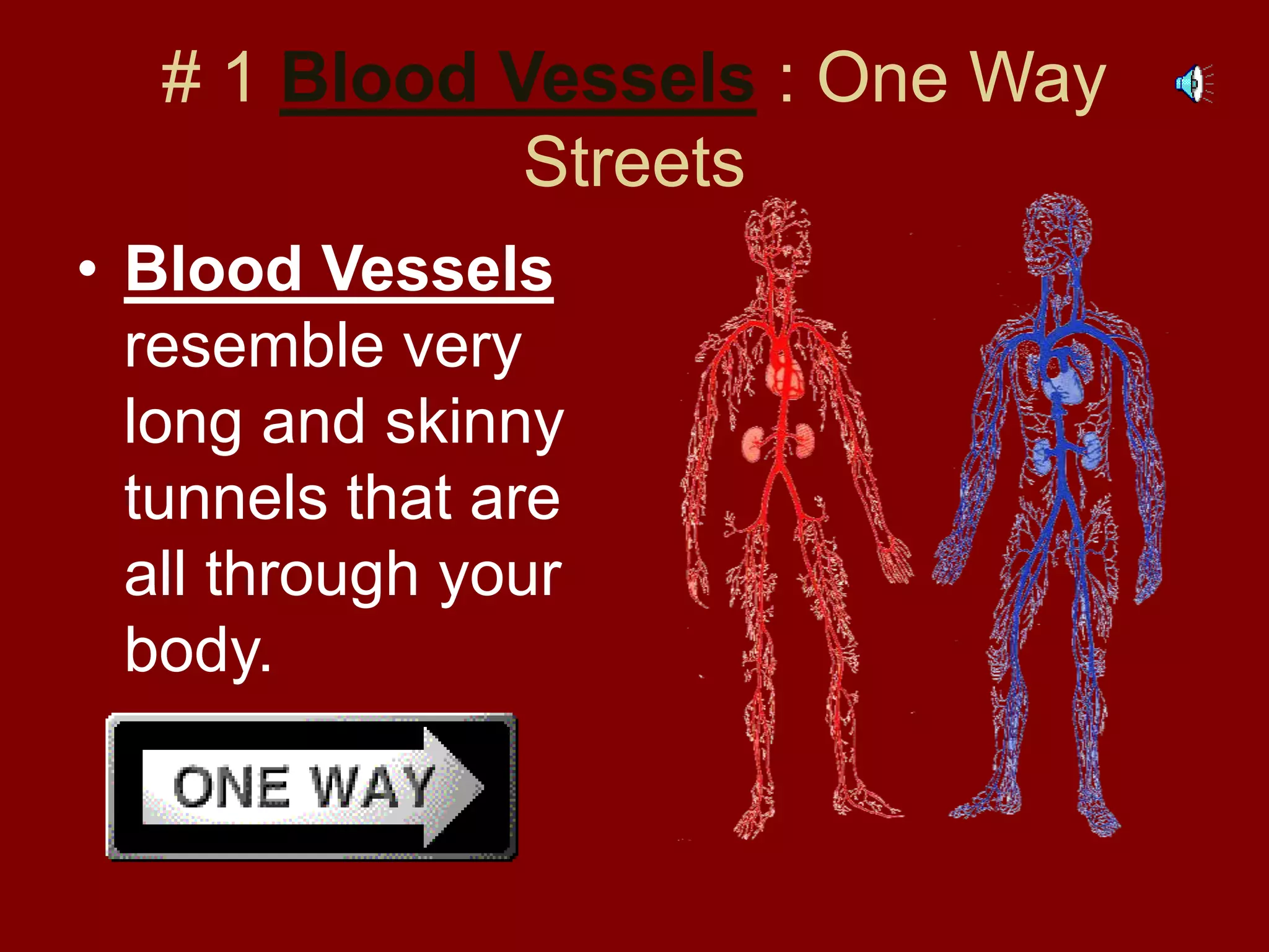 7 Science Biotechnology Task Blood and Circulation.ppt