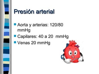 Signos vitales | PPT