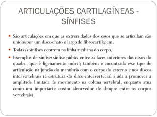 SISTEMA ARTICULAR mmmmmmmmmmmmmmmmmmmmmm | PDF