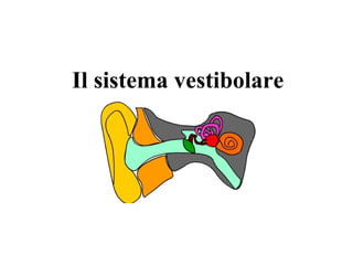 7 sistema vestibolare | PPT