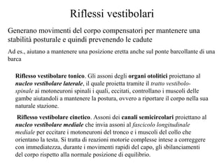 7 sistema vestibolare | PPT