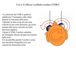 7 sistema vestibolare | PPT