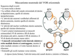 7 sistema vestibolare | PPT