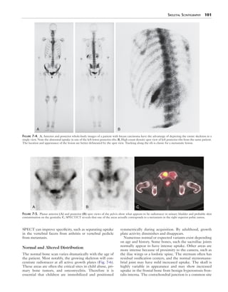 7 skeletal | PDF