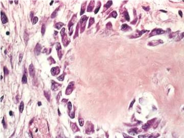 7 Skin, Bones, Joints, Soft Tissues | PPT