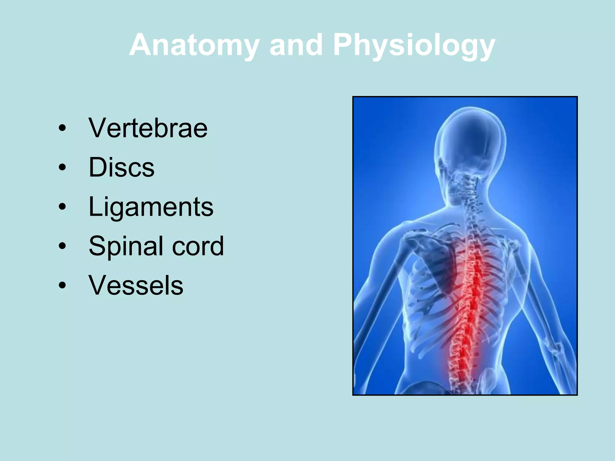 7_Spinal Column and Spinal Cord Injuries (1).pptx