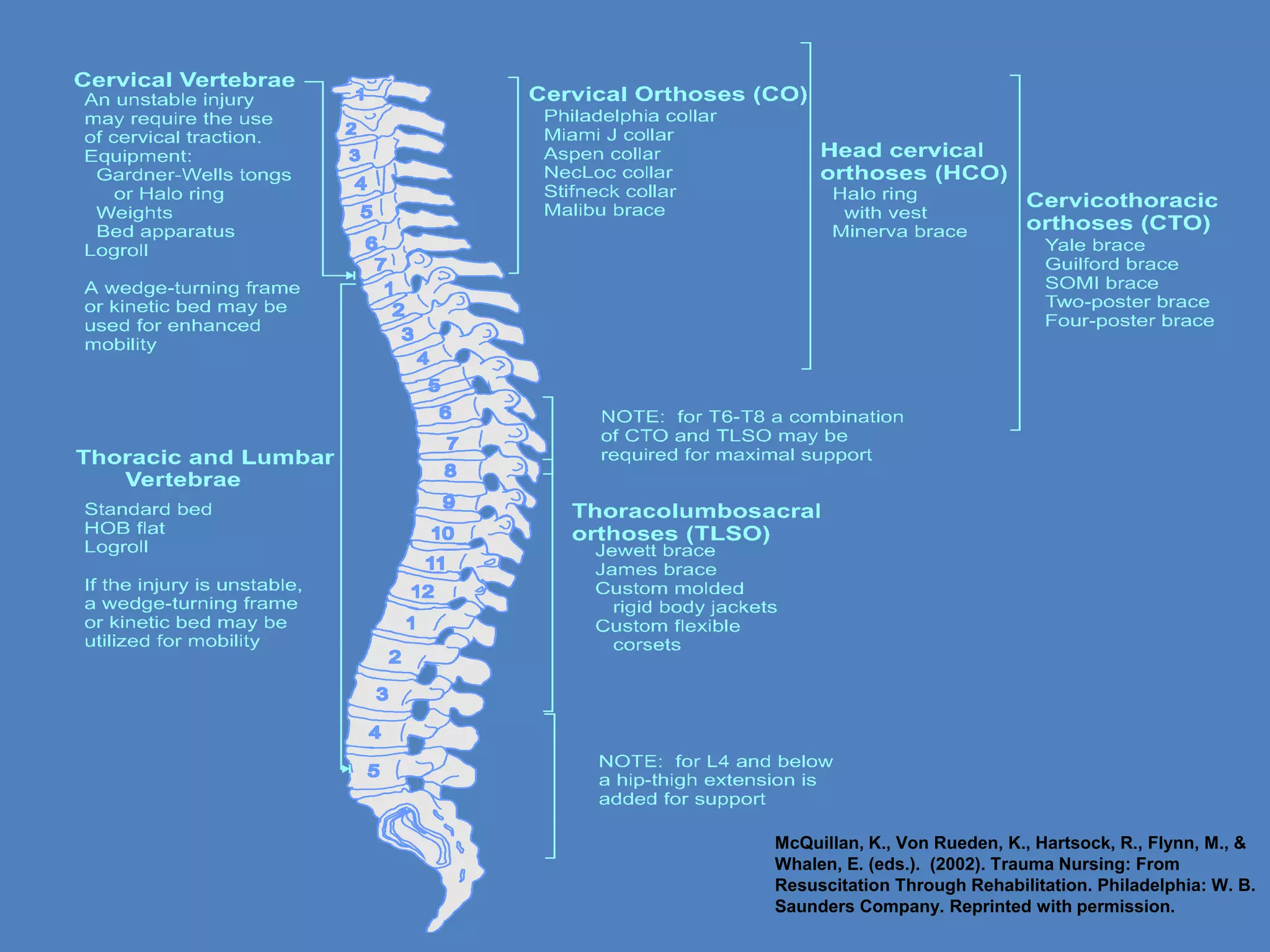 7_Spinal Column and Spinal Cord Injuries (1).pptx