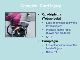 7_Spinal Column and Spinal Cord Injuries (1).pptx