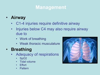 7_Spinal Column and Spinal Cord Injuries (1).pptx