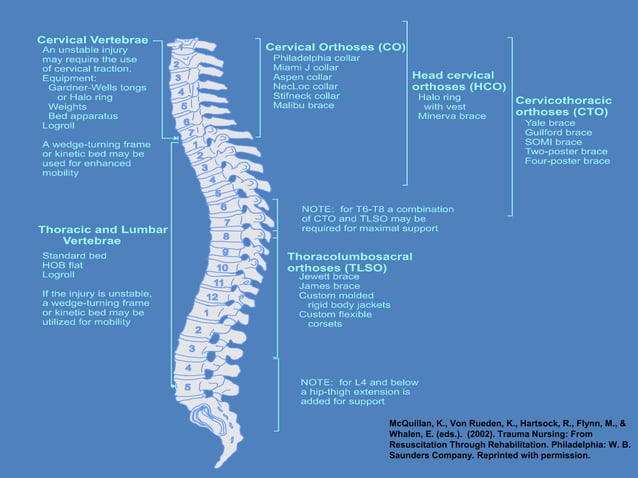 7_Spinal Column and Spinal Cord Injuries (1).pptx