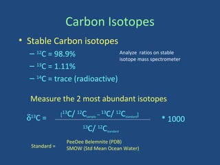 7 stable isotopes-1 | PPT