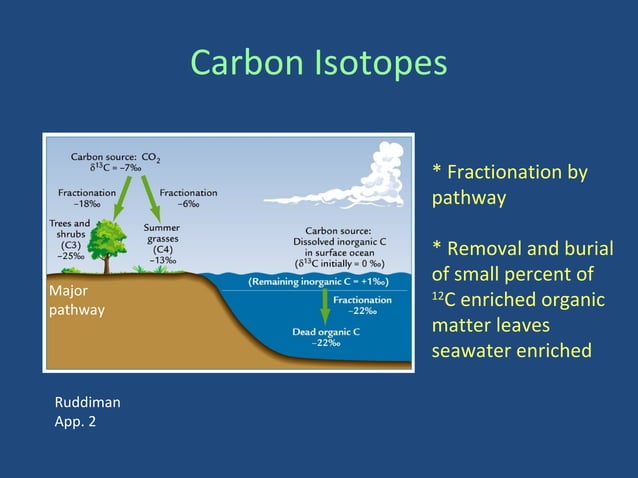 7 stable isotopes-1 | PPT